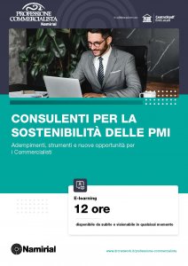 CONSULENTI PER LA SOSTENIBILITÀ DELLE PMI | Professione Commercialista ...
